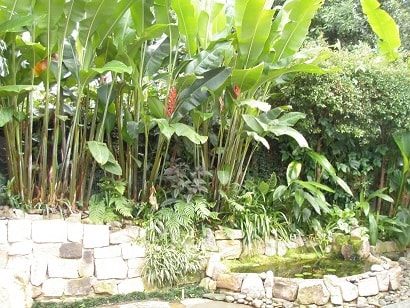 Cascade Garden Design - Landscaping Brisbane